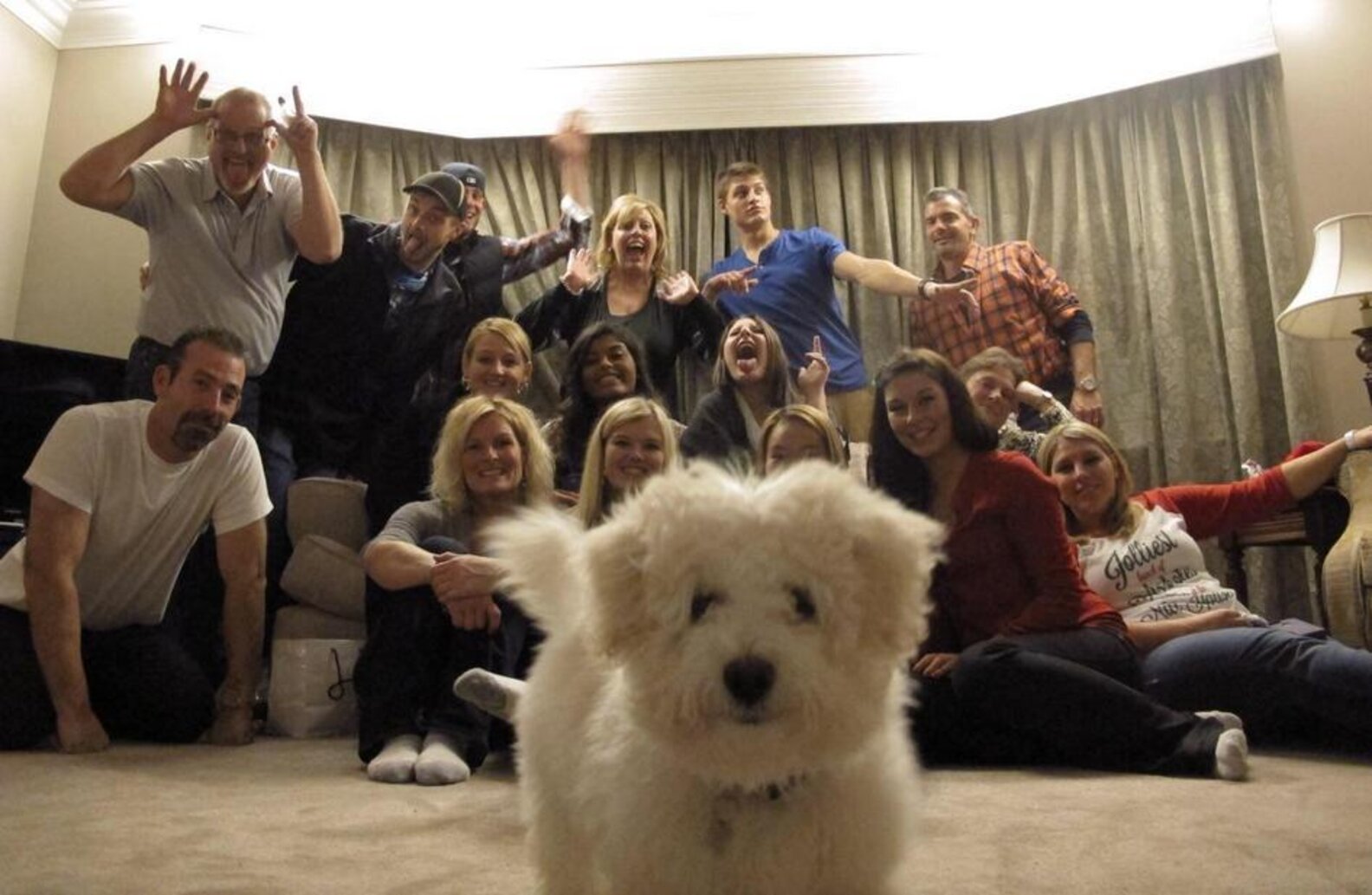 Proof That Rescues Are The Best Breed, Hands Down - The Dodo