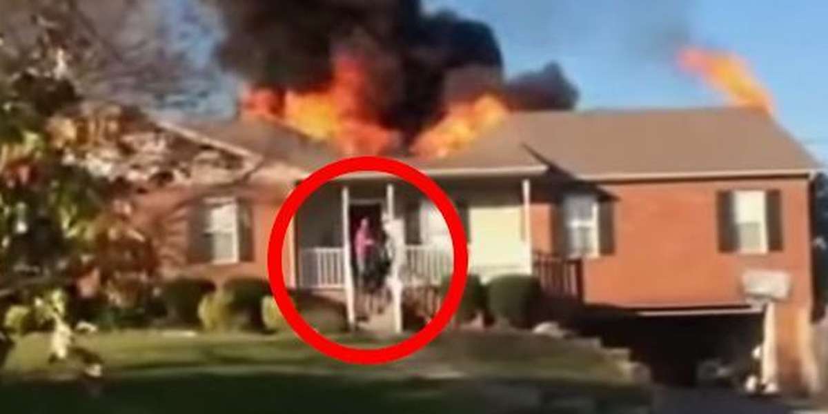 Mystery Hero Rushes Into Burning Home To Save Dog - The Dodo