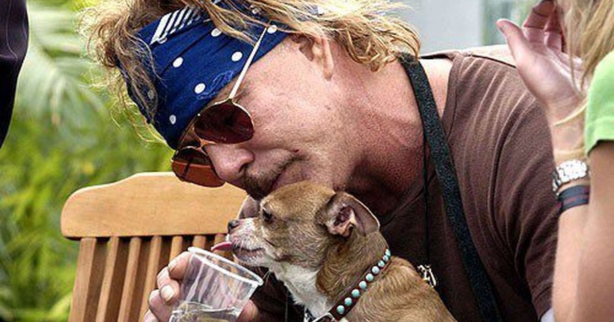 Mickey Rourke's Dog Stopped Him From Committing Suicide - The Dodo