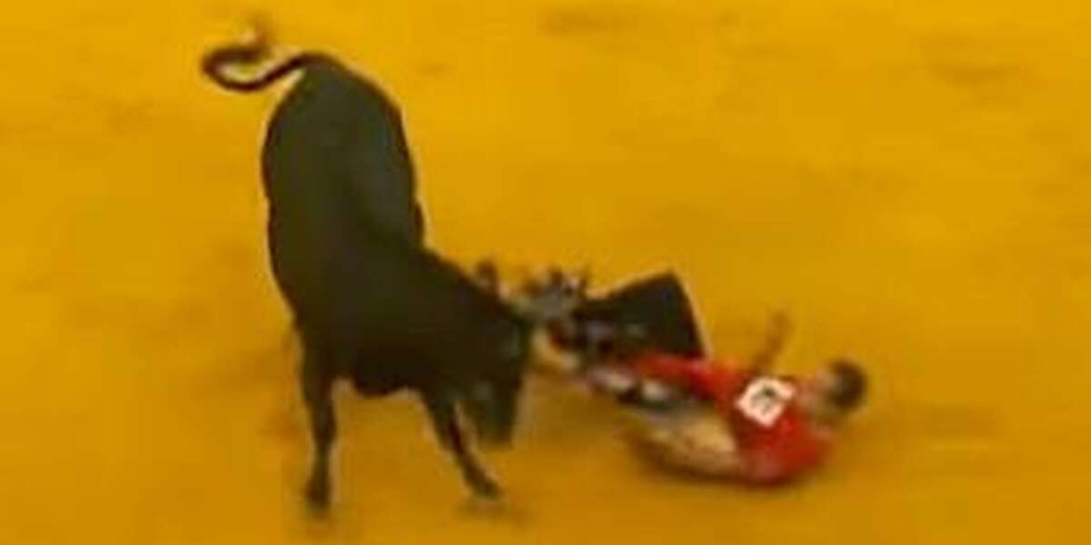 Guy Learns Bull Doesn't Want To Be Chased ... In The Most Embarrassing ...