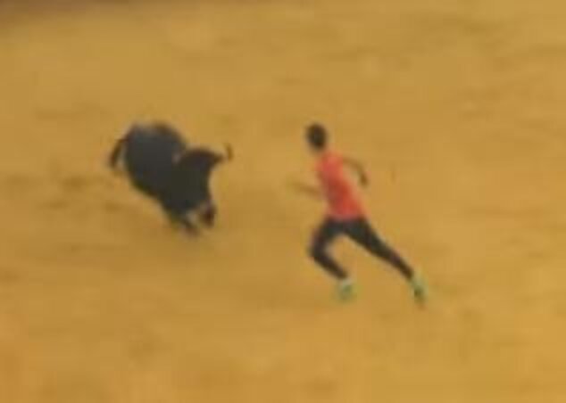 Guy Learns Bull Doesn't Want To Be Chased ... In The Most Embarrassing ...