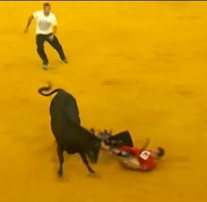 Guy Learns Bull Doesn't Want To Be Chased ... In The Most Embarrassing ...