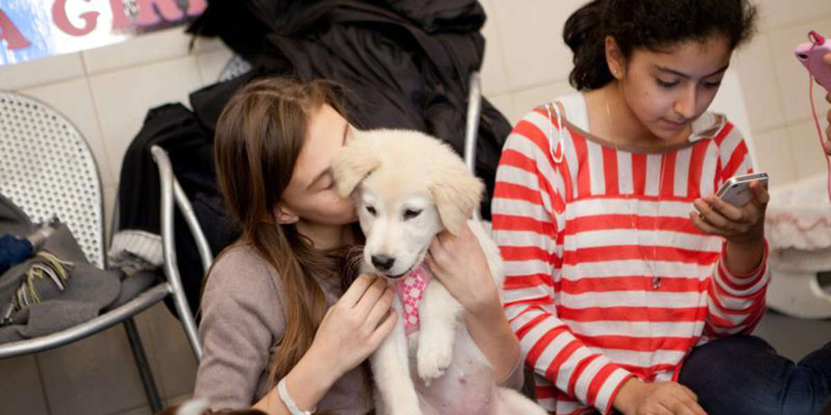 Rescued Puppies Helping Young Women Fight For Equality - The Dodo