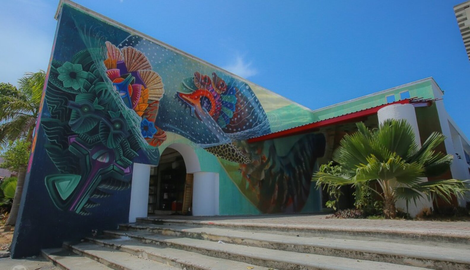 Street Artists Plaster Walls Of Mexican Island With Spectacular Murals ...