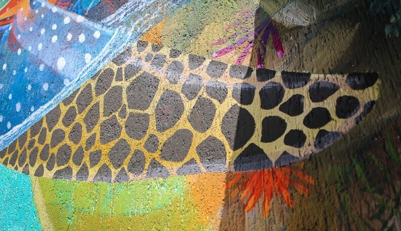 Street Artists Plaster Walls Of Mexican Island With Spectacular Murals ...