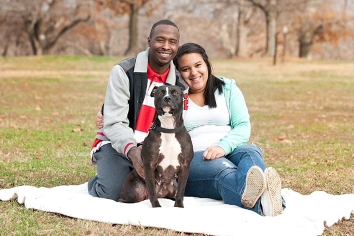 This Awesome Campaign Proves That Pit Bulls Are Full Of Love - The Dodo