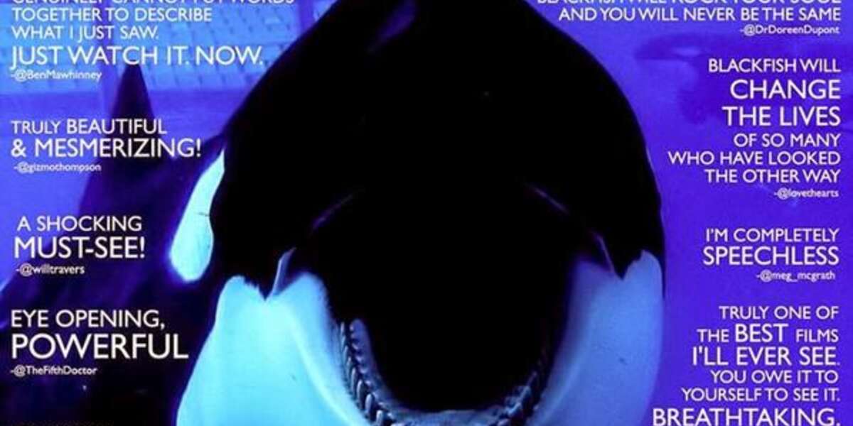 #Blackfish is making an impact. @peteswildlife @jeffrey_ventre @Sam10k ...