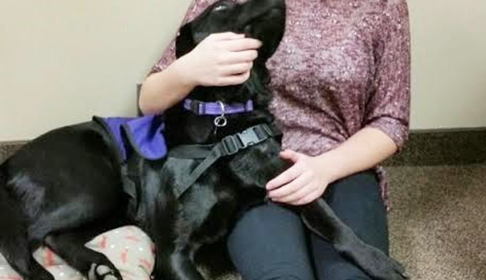 Dog Helps Scared Kids Testify In Court - The Dodo