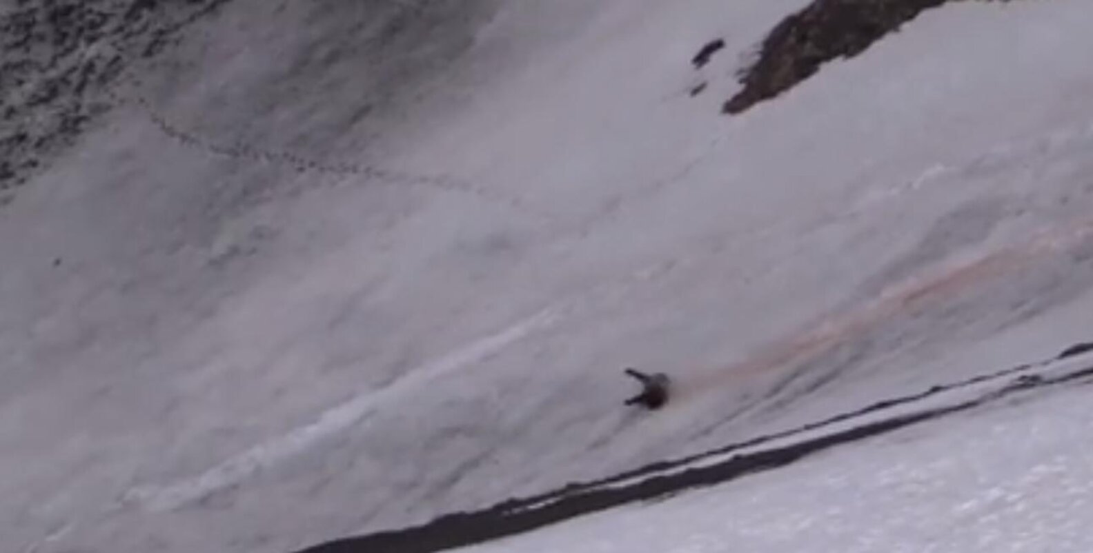 Bear Desperately Tries To Escape Hunters In Heart-Wrenching Video - The ...