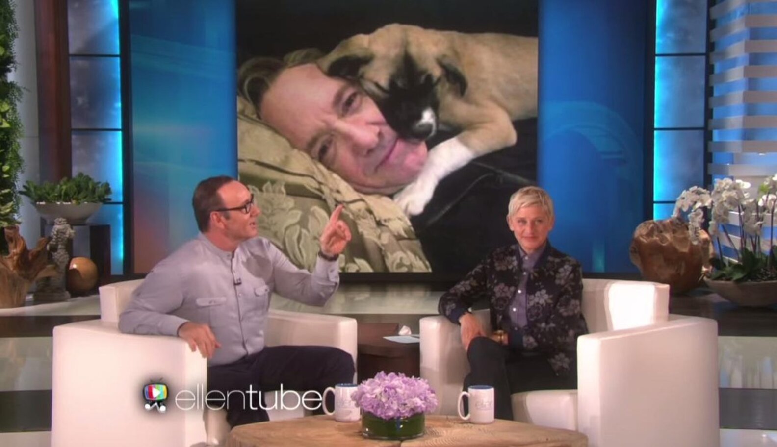 Kevin Spacey Tells The Sweetest Story About The Day He Met His Dog ...