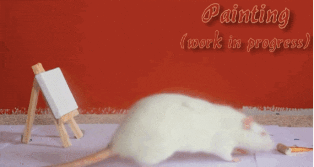 20 Talented Rats Who Would Like To Show Off Their Superior Smarts - The ...
