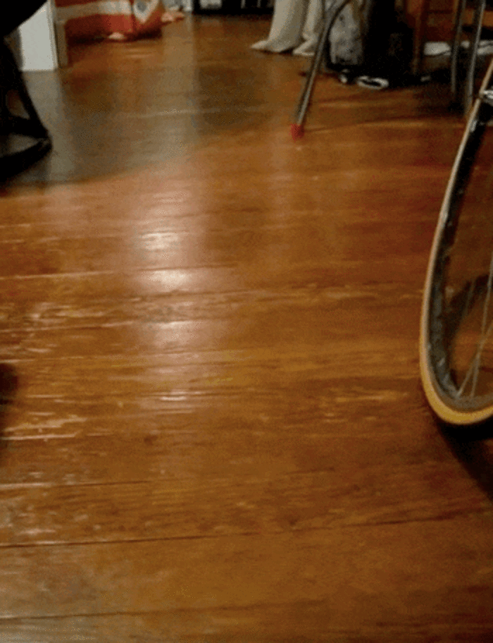 20 Talented Rats Who Would Like To Show Off Their Superior Smarts - The ...