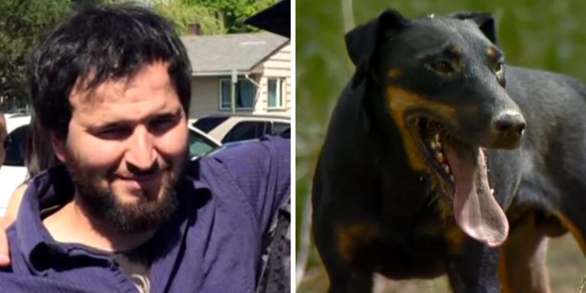 Man Dies While Trying To Rescue His Puppies - The Dodo