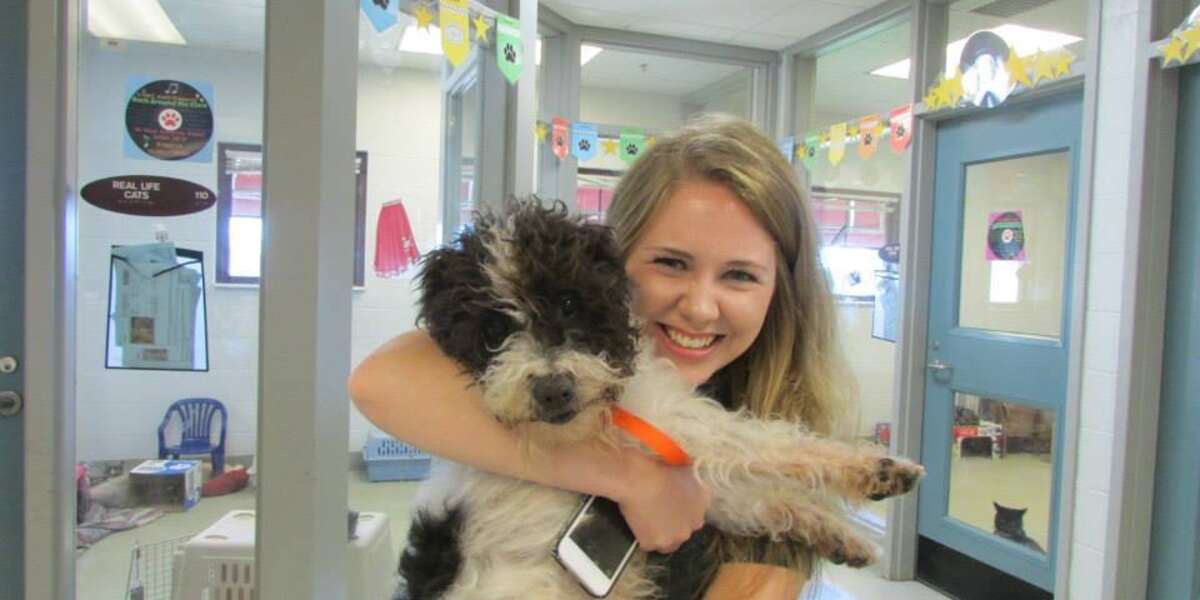 We've Come 300,000 Pets Closer To Ending Animal Homelessness - The Dodo