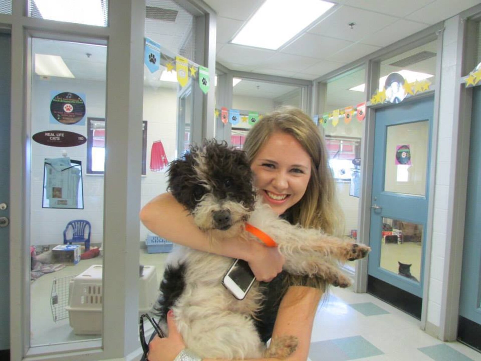 Overcoming the Challenge of Animal Homelessness - The Dodo