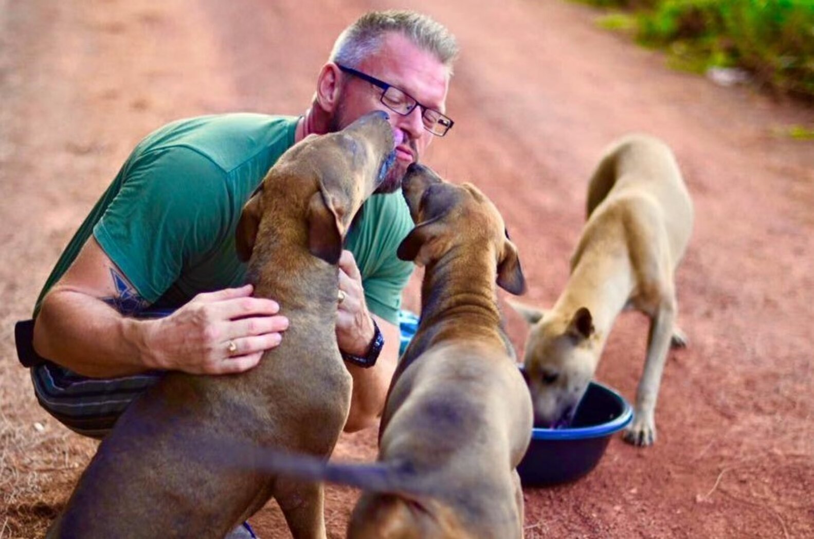 Man Fell In Love With Thailand’s Stray Dogs And Now Feeds 80 Every Day ...