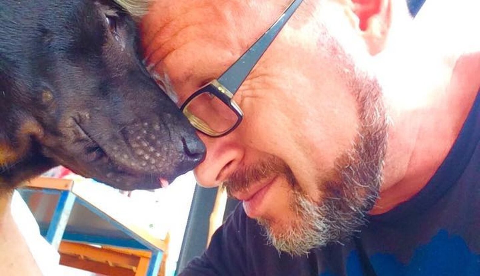 Man Fell In Love With Thailand’s Stray Dogs And Now Feeds 80 Every Day ...