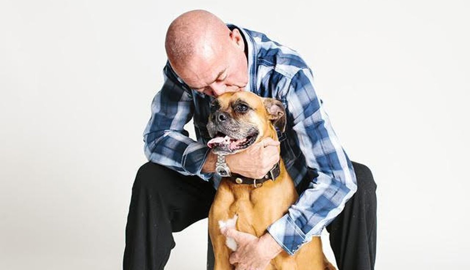 How Dogs Are Helping HIV-Positive People Heal - The Dodo