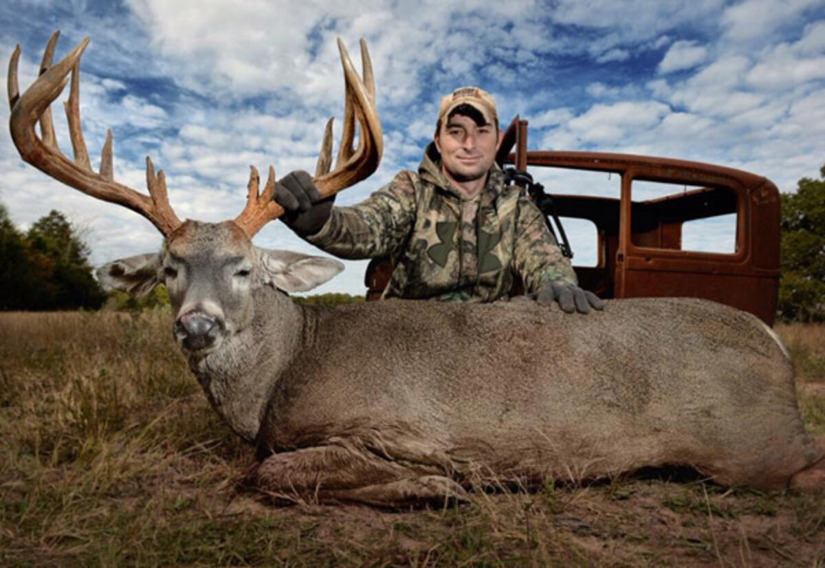 7 People Who Were Animals' Worst Enemies This Year - The Dodo