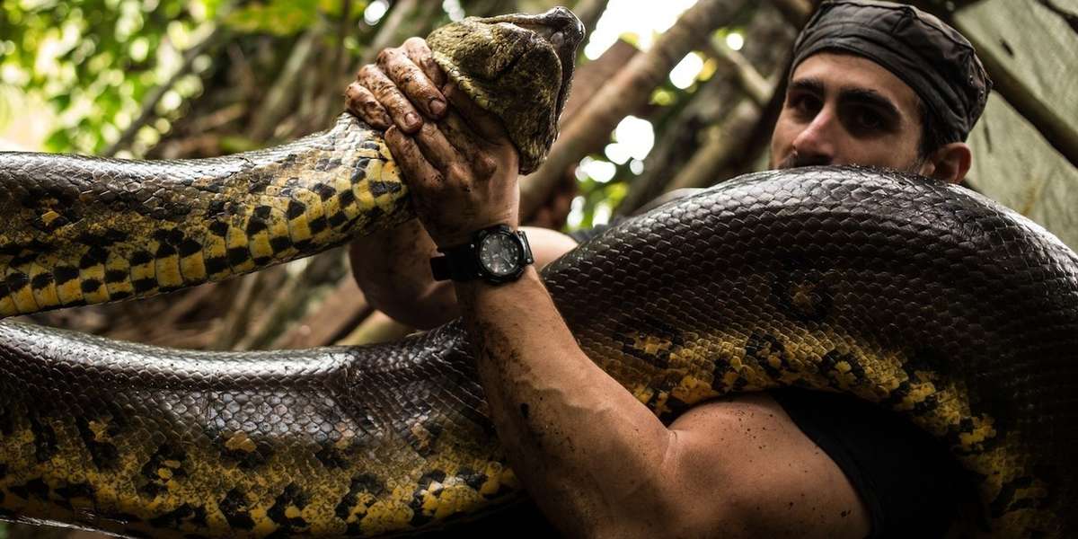Snakes On The Brain: One Man’s Quest To Save The Anaconda - The Dodo