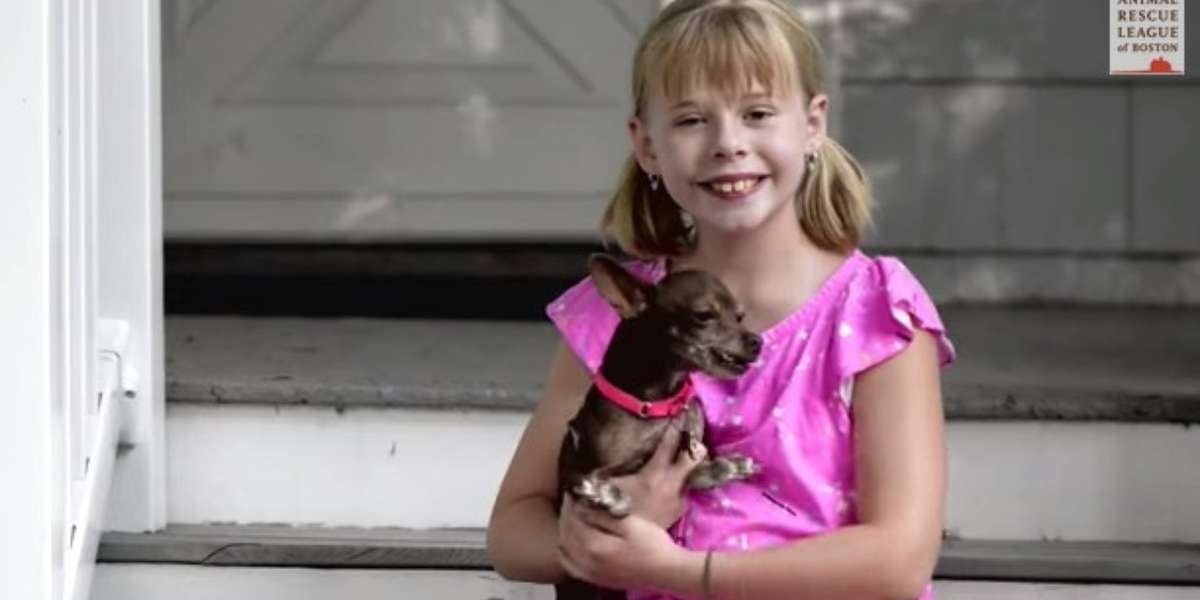 Watch This Girl Sweetly Explain Why Her Deformed Dog Is So Special ...
