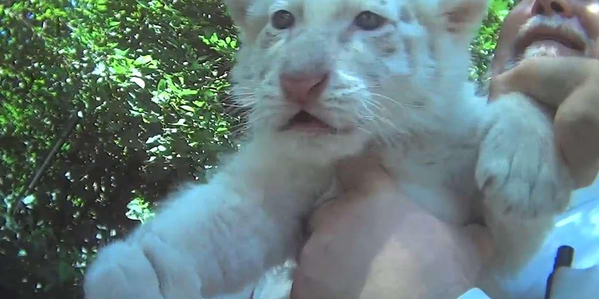 How To Tell If A Place Is Bad For Animals - The Dodo