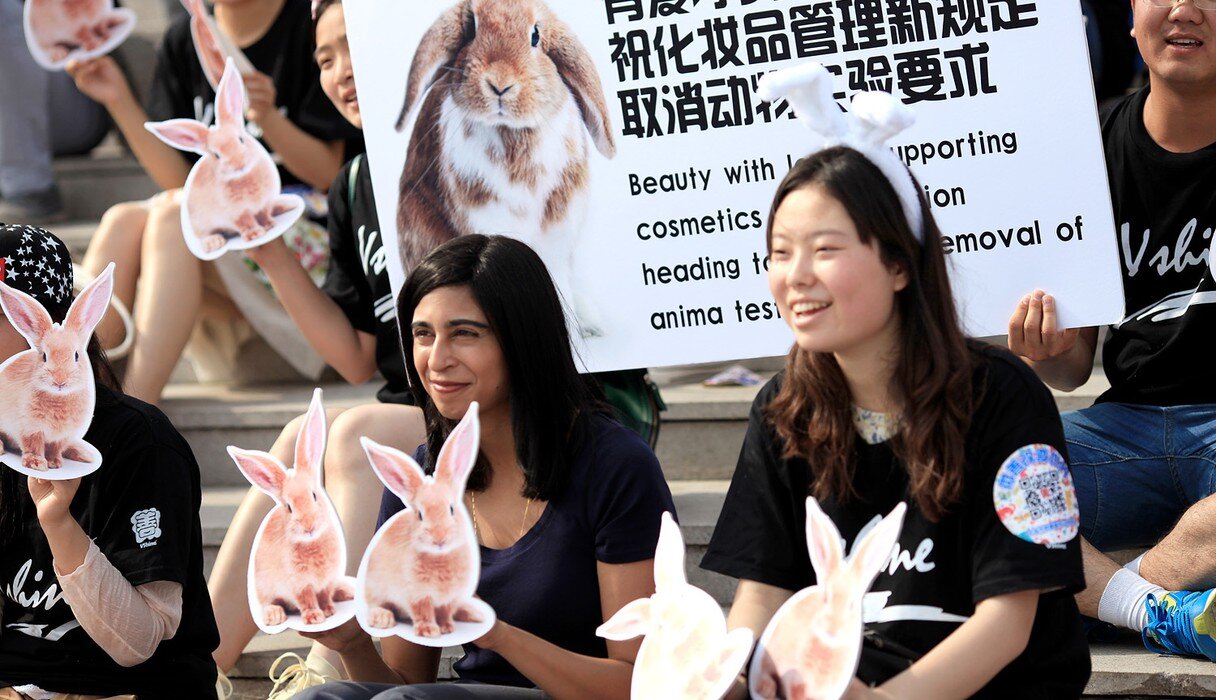 How We Can Finally End Cosmetic Testing On Animals - The Dodo
