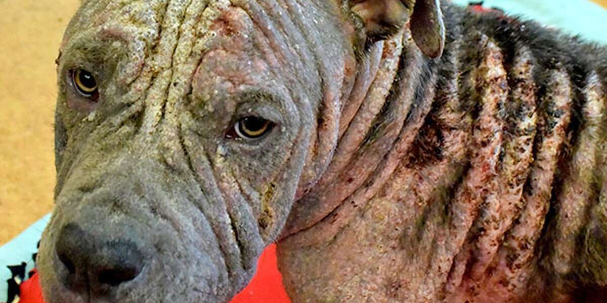 They Took A Picture Of Her Every Day. The Results Are Incredible. - The ...