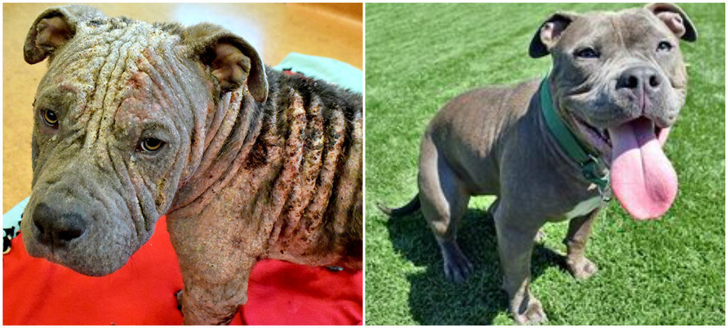 They Took A Picture Of Her Every Day. The Results Are Incredible. - The ...