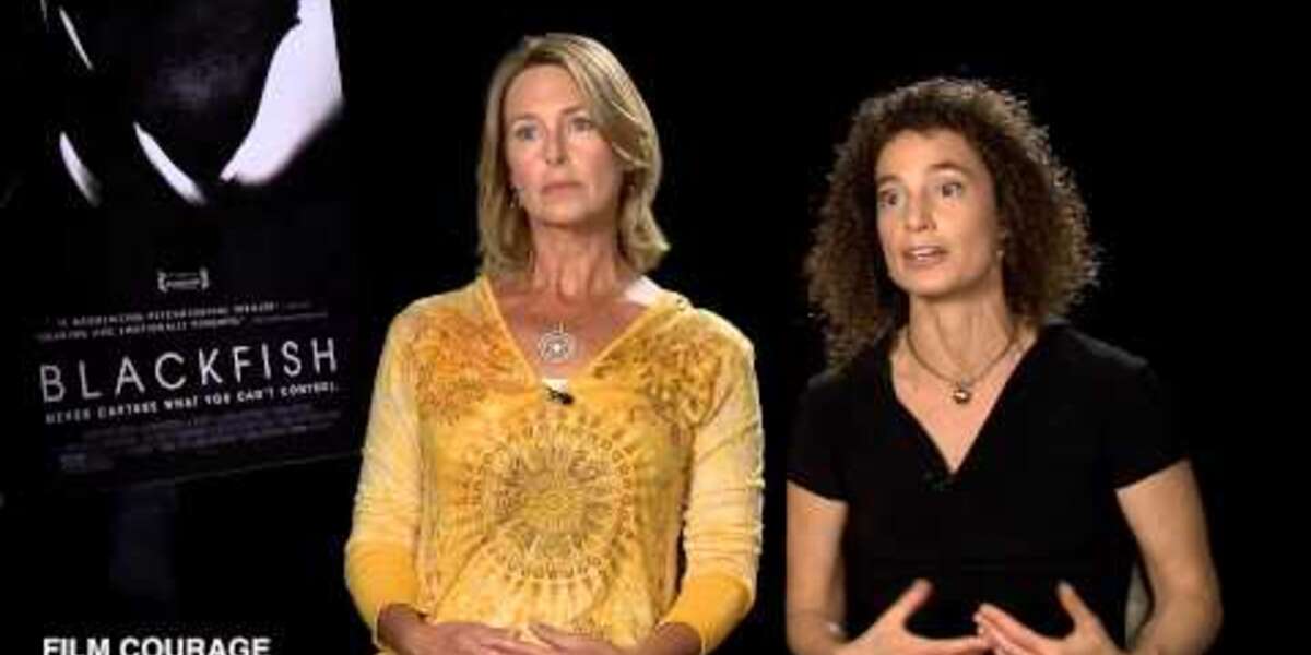 Why We Stopped Working As Trainers At SeaWorld by Carol Ray & Samantha ...