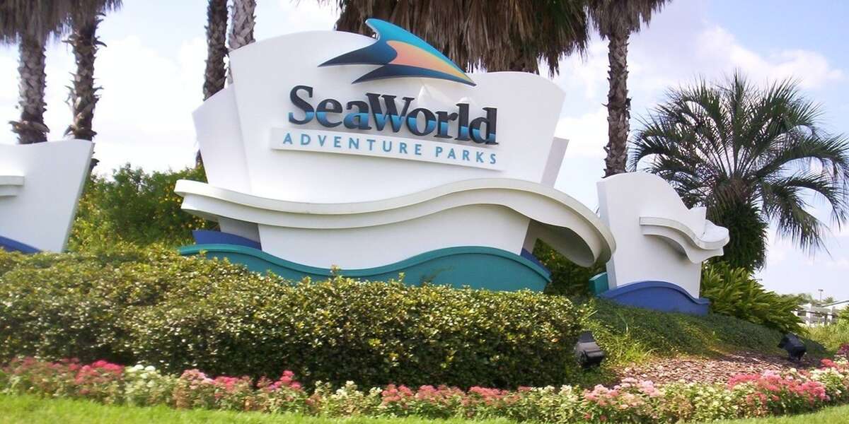 Bad News For Orcas: SeaWorld Promotes Company Veteran To Oversee Its ...