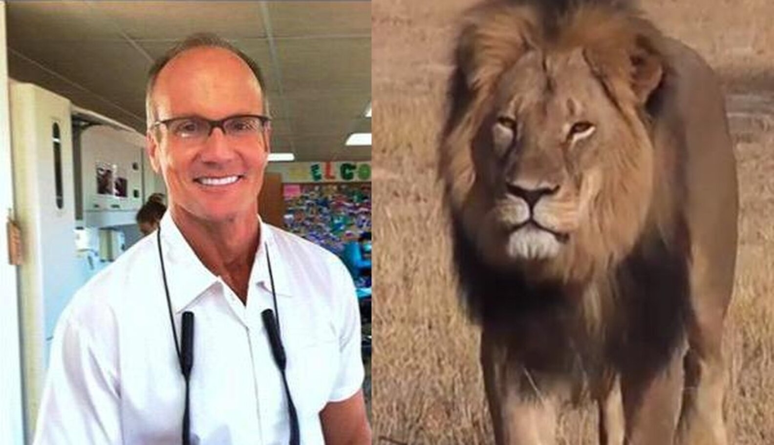 Lion Killer Dentist Writes Letter To Patients About His Passion For ...