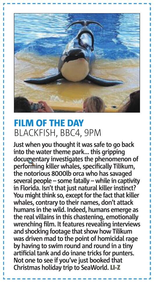 #Blackfish is Film of the Day in @MetroUK http://t.co/WFT03qcL1W - The Dodo