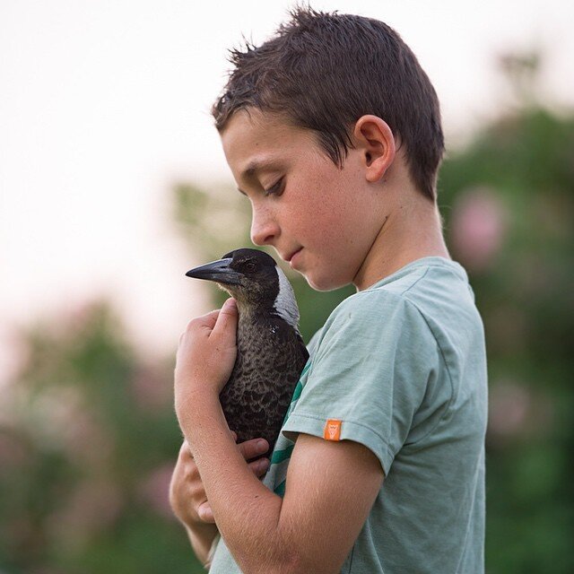 Loyal Rescue Bird Always Flies Back To Her Humans - The Dodo