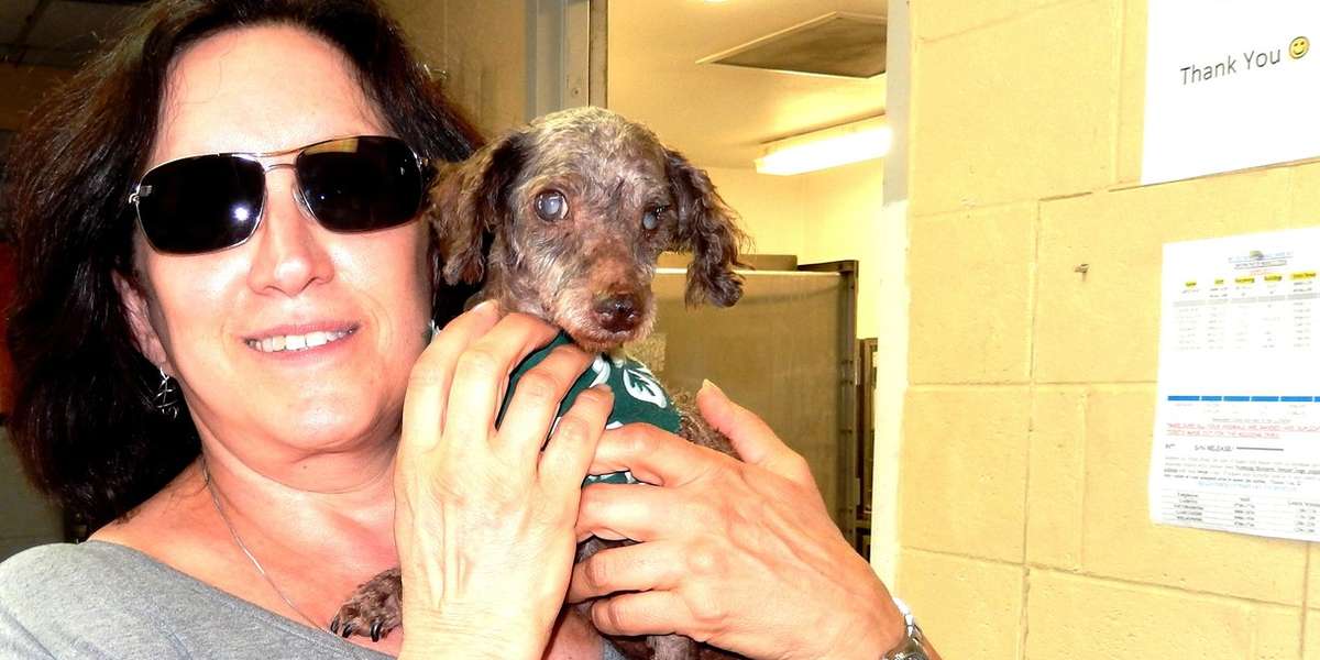 She Saw Him On The Dodo And Got On A Plane The Next Day