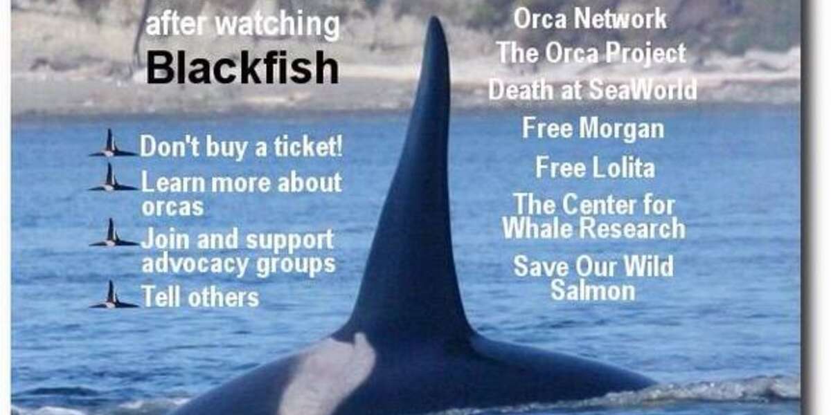 Watch #Blackfish and...#dontbuyaticket #captivityandslaughter # ...