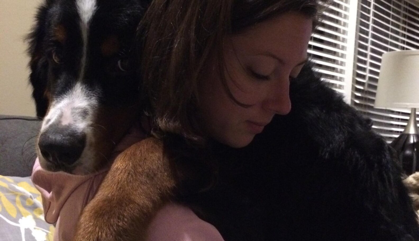 8 Pets Who Have Turned Hugging Into An Art Form - The Dodo