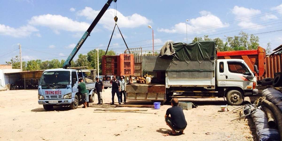 Bear Caged For A Decade Is Freed With Ambitious Crane Rescue - The Dodo