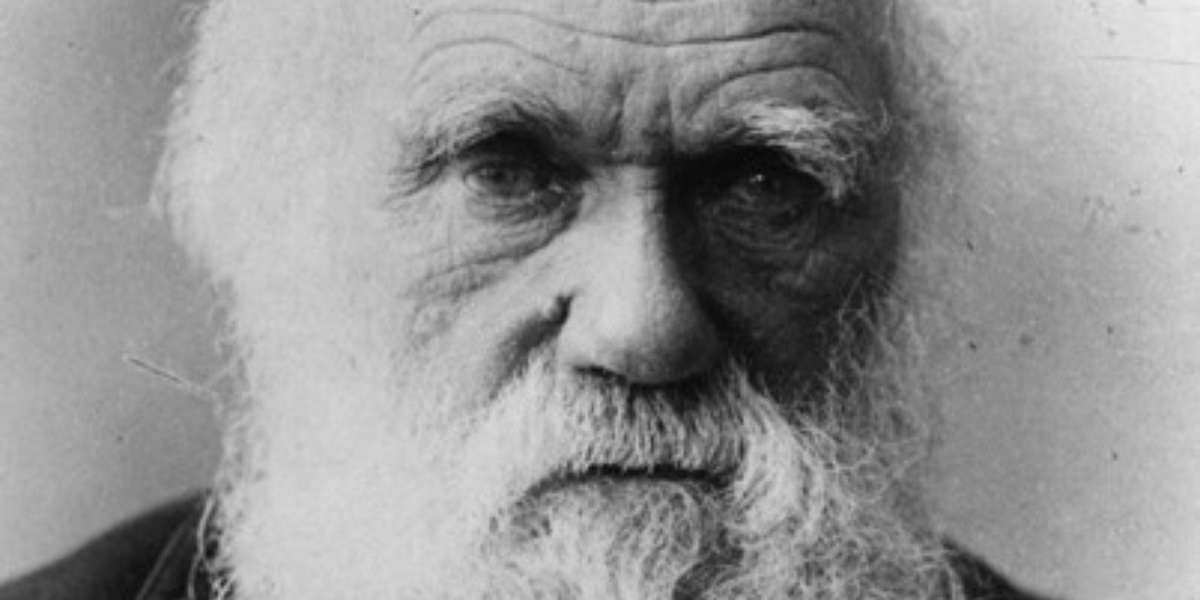 Darwin Made it Hard to Justify Eating Animals - The Dodo