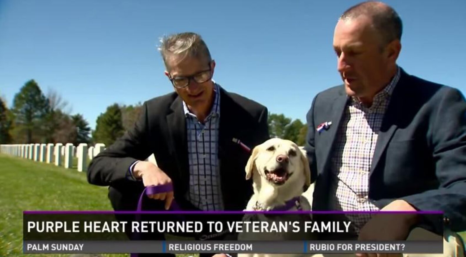 Plucky Dog Unearths Long-Lost Medal During Afternoon Digging Spree ...
