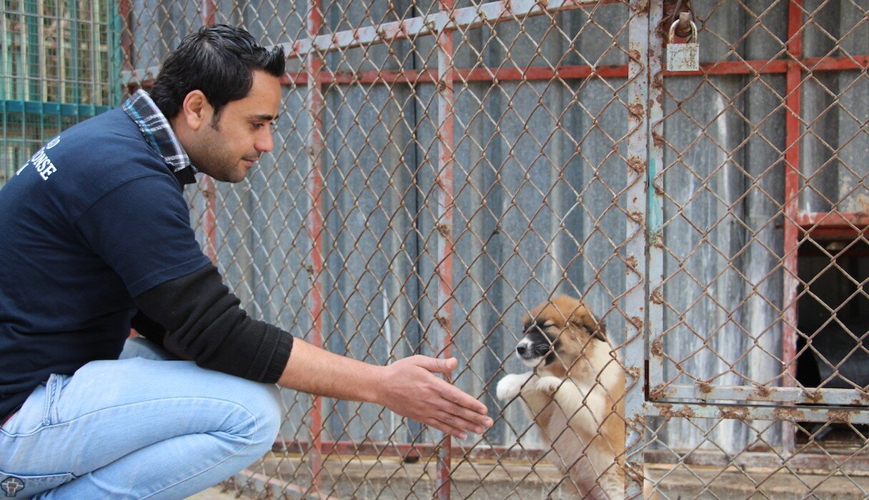 People Bring Food To Starving Zoo Animals Everyone Else Has Forgotten ...