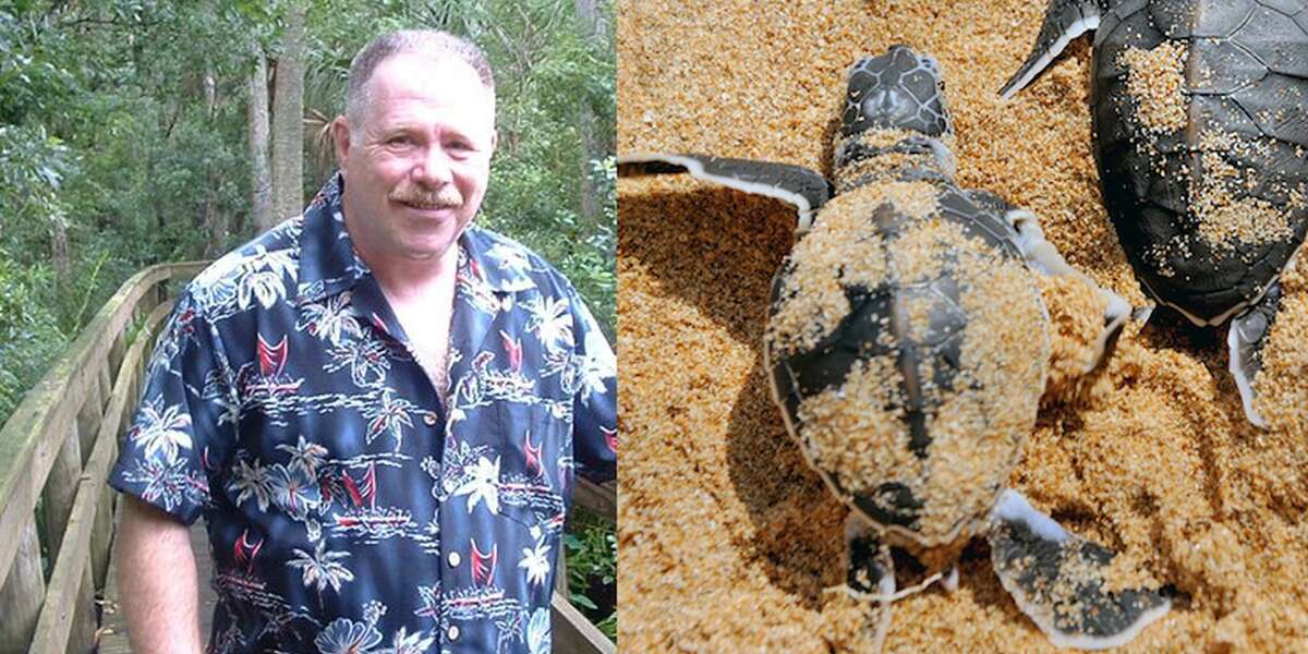 Veteran Takes Bullet To Protect Baby Sea Turtles - The Dodo