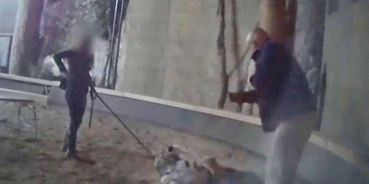 Zoo Filmed Beating Animals Shuts Its Doors For Good - The Dodo