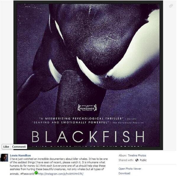 Another STAR ★ speaking out for #Blackfish Thank you @LewisHamilton ...