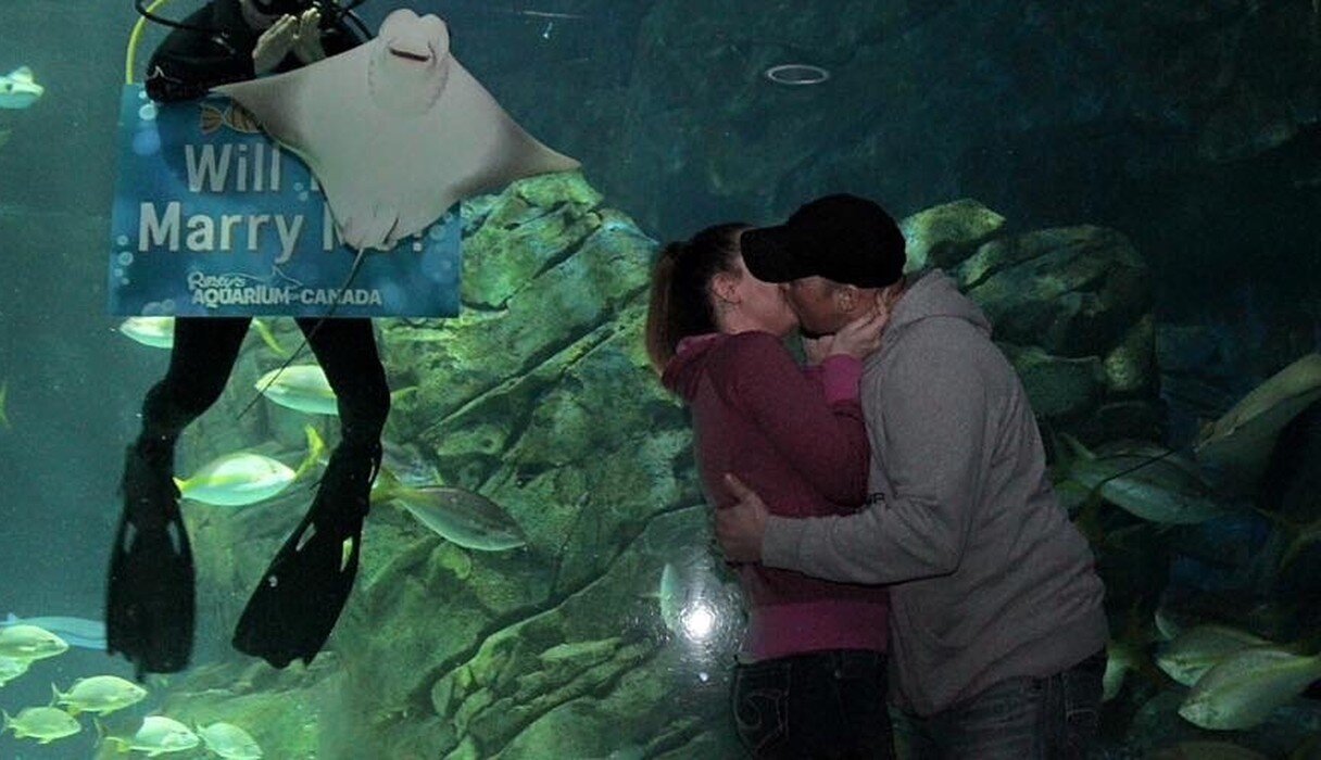 Stingray Photobomb