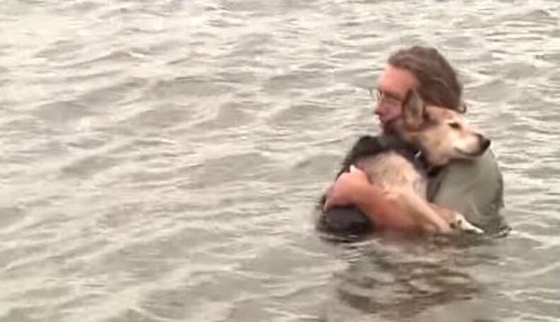 'I Am Whole Again': Man In Viral Photo Honors Deceased Dog By Adopting ...