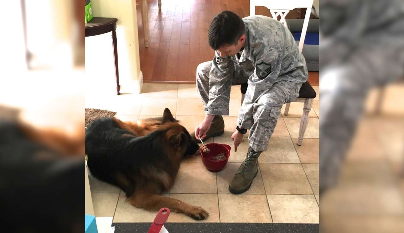 Man Who Didn't Want A Pet Spoon-Feeds His Dog Now - The Dodo