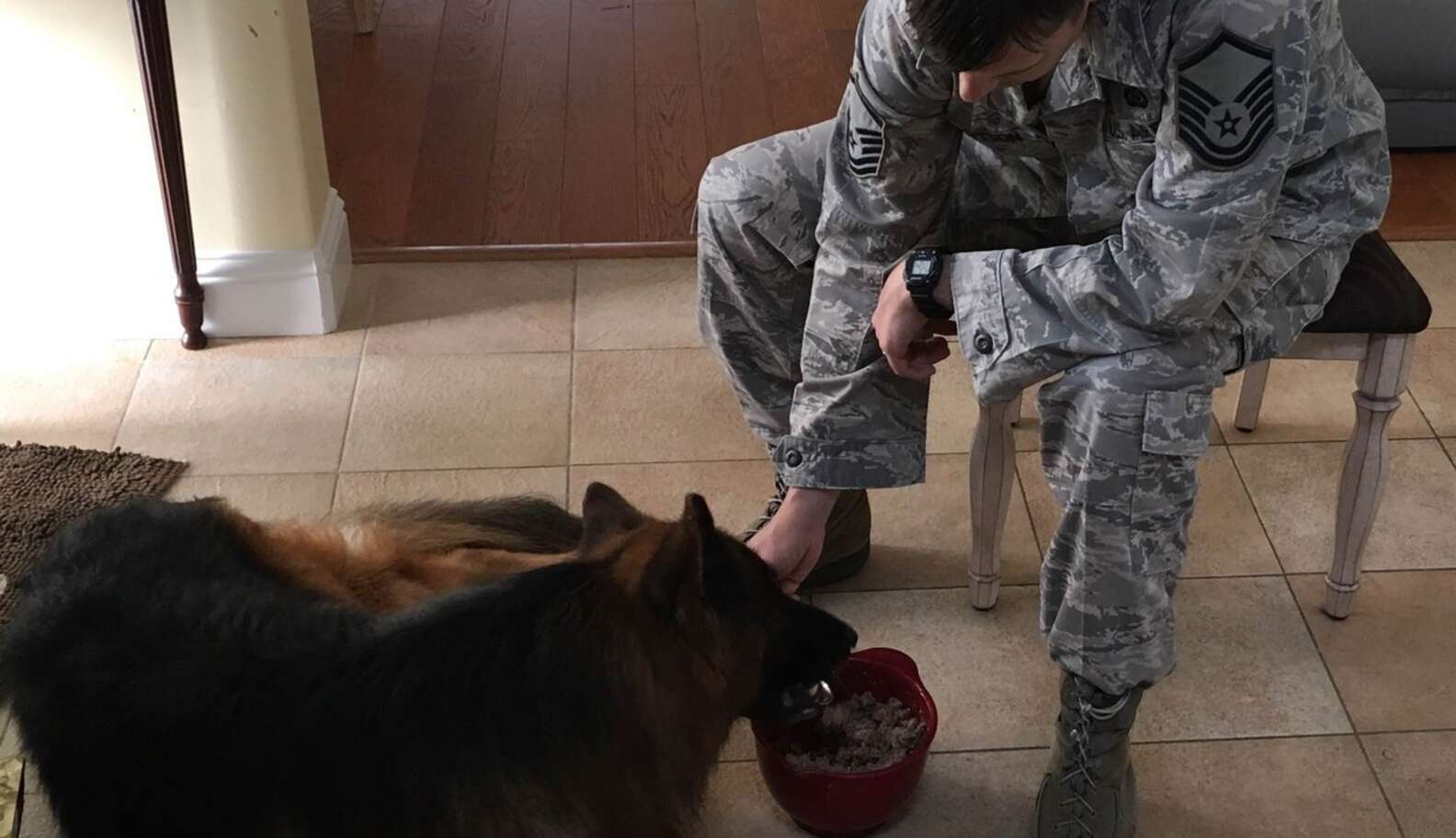 Man Who Didn't Want A Pet Spoon-Feeds His Dog Now - The Dodo