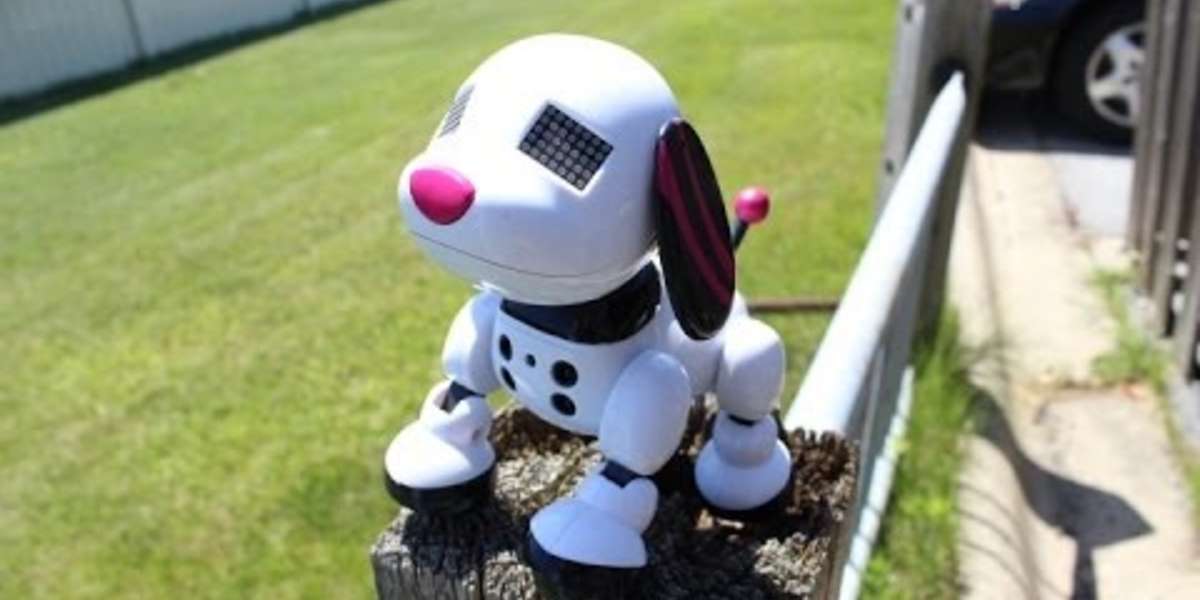 Zoomer Zuppies Review the Interactive Robotic Dog (SCARLET) - The Dodo