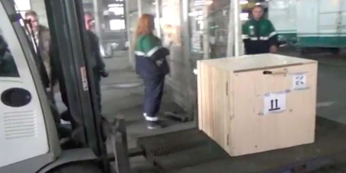 Officials Find Shocking Surprise Inside Shipping Crate - The Dodo